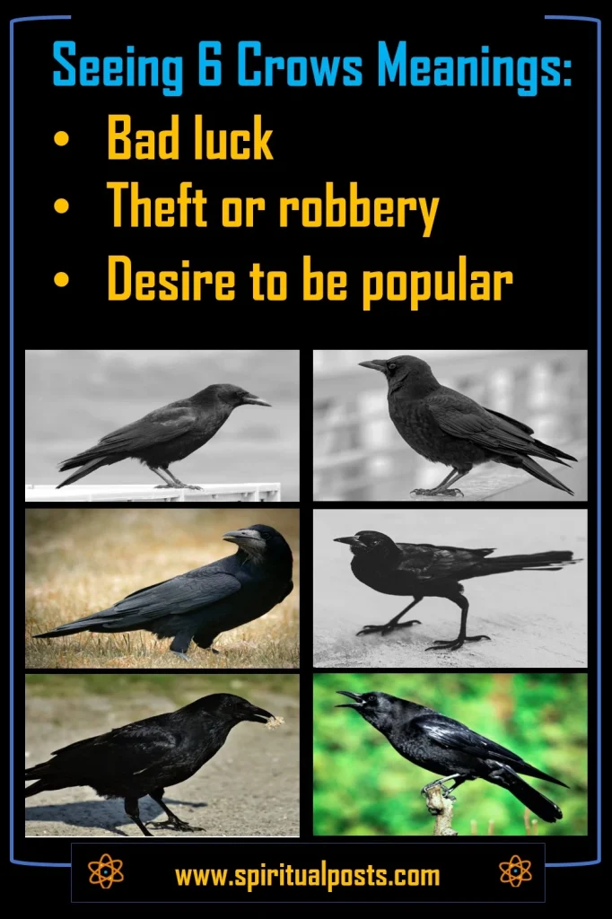 Number Of Crows Meaning 1 2 3 4 5 6 7 8 9 Crows Spiritual Number Of Crows Meaning 1 2 3 4 5 6 7 8 9 Crows Spiritual