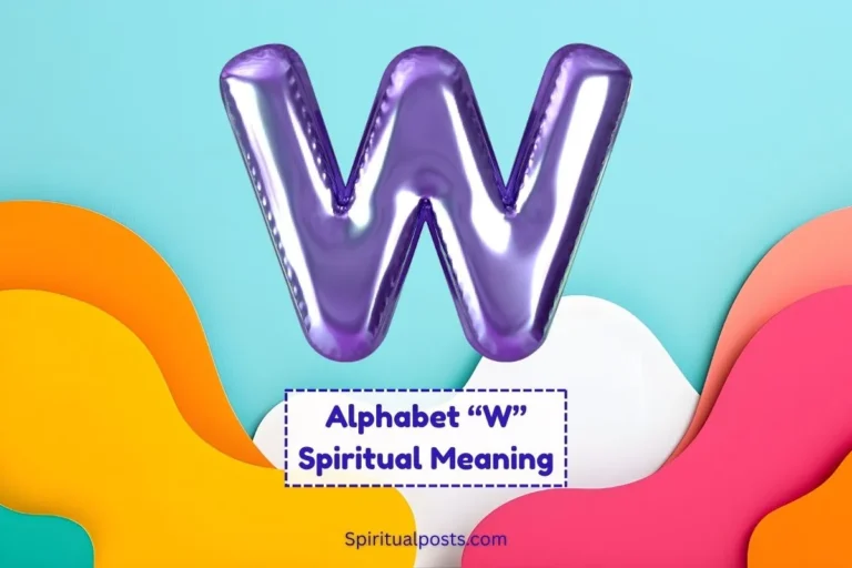 Bindweed Spiritual Meaning and Symbolism of Persistence and ...